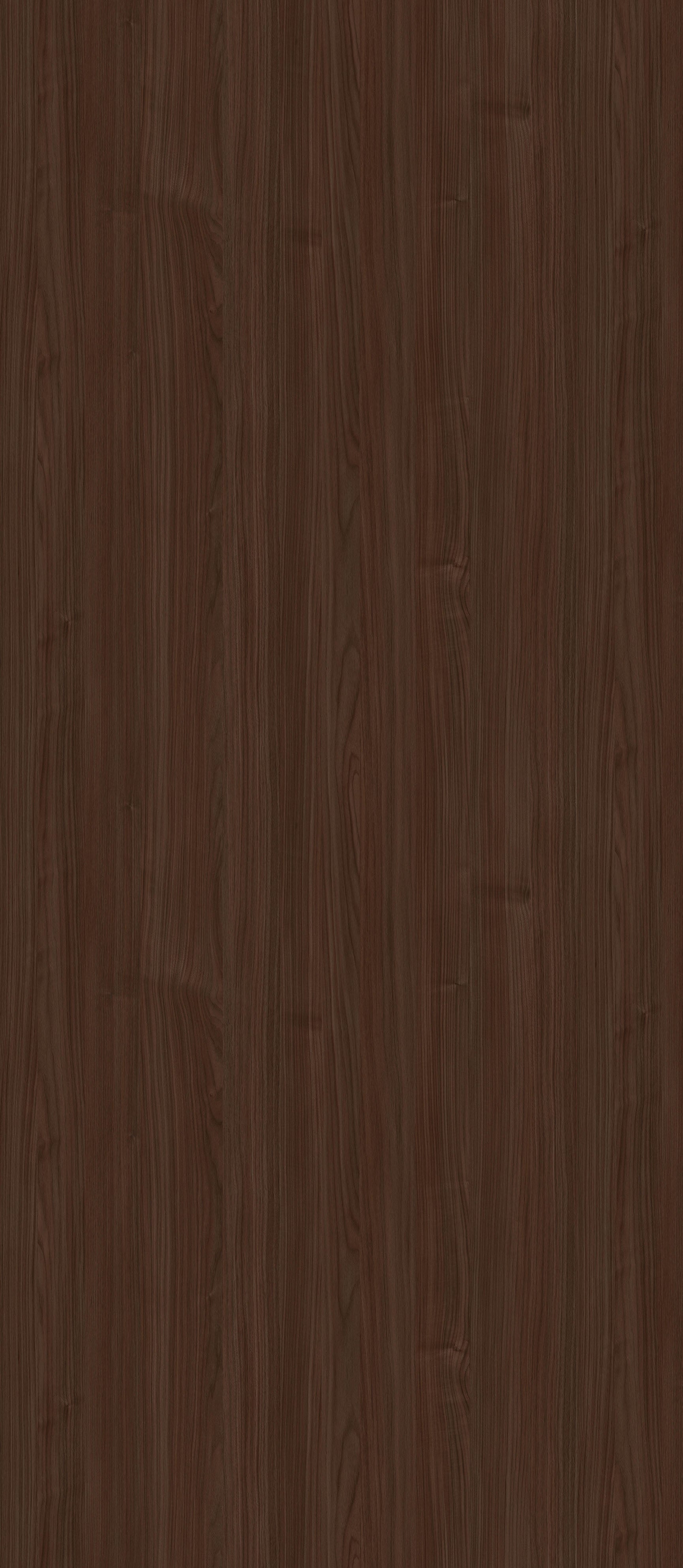Andean Walnut